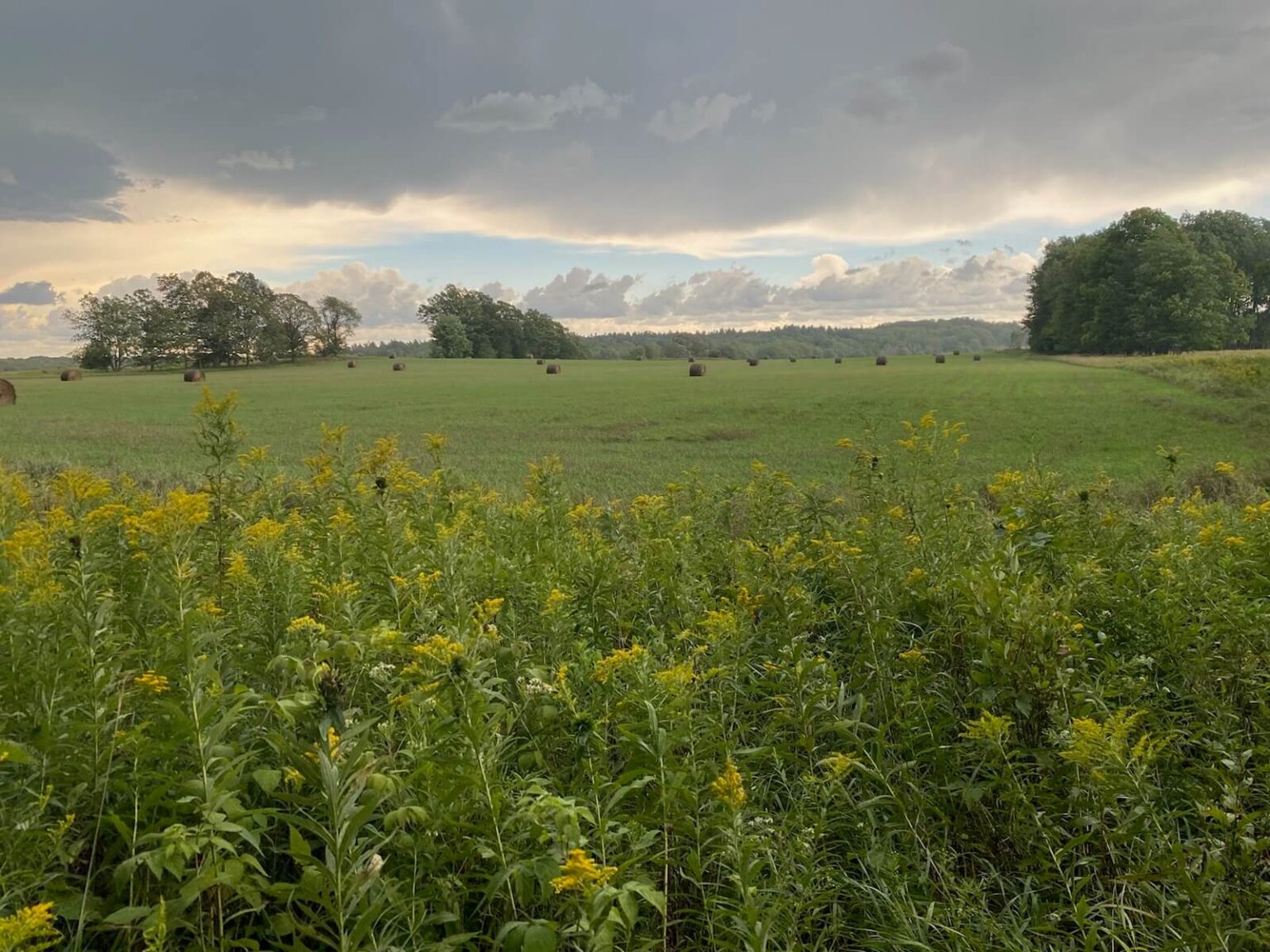 Grindstone Island Preserves - Thousand Islands Land Trust