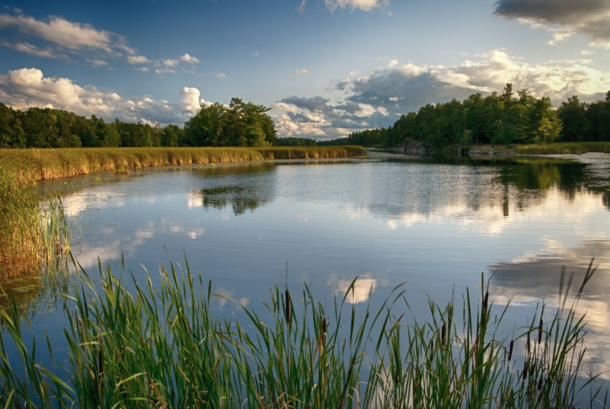 S. Gerald Ingerson Preserve - Thousand Islands Land Trust