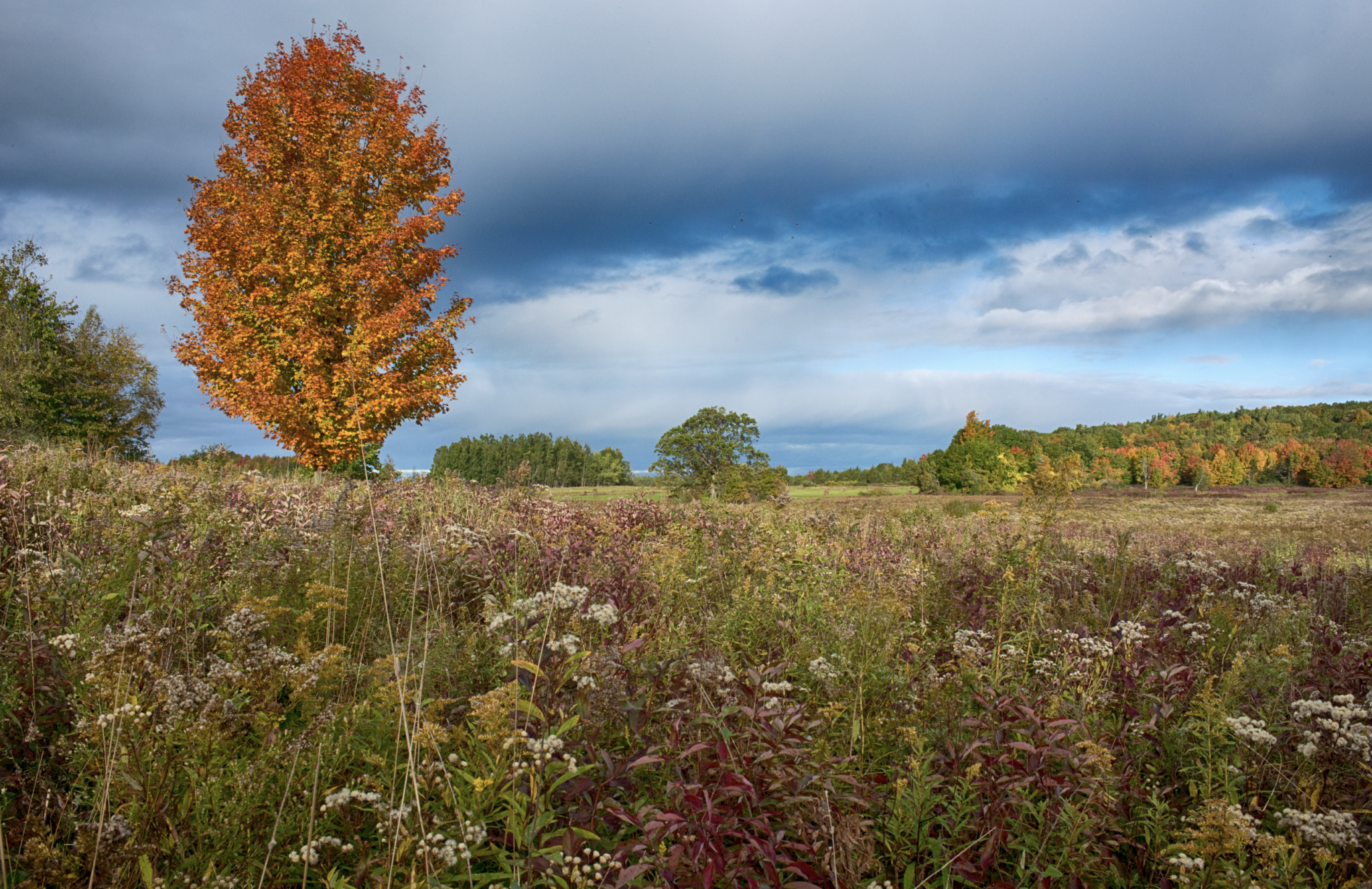 Grindstone Island Preserves - Thousand Islands Land Trust