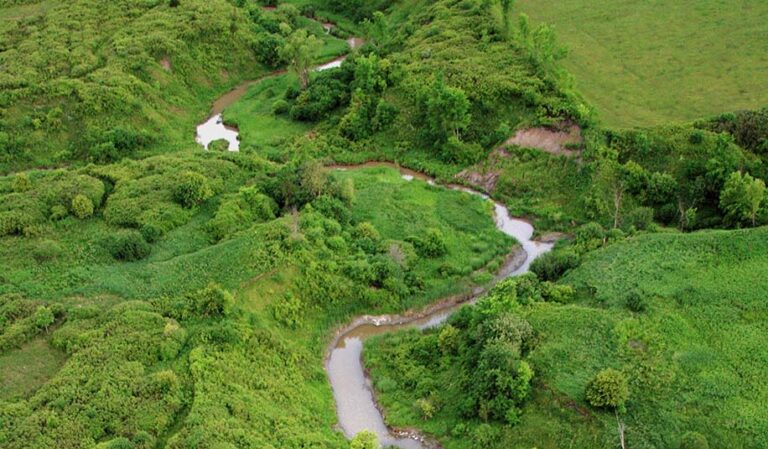 S. Gerald Ingerson Preserve - Thousand Islands Land Trust