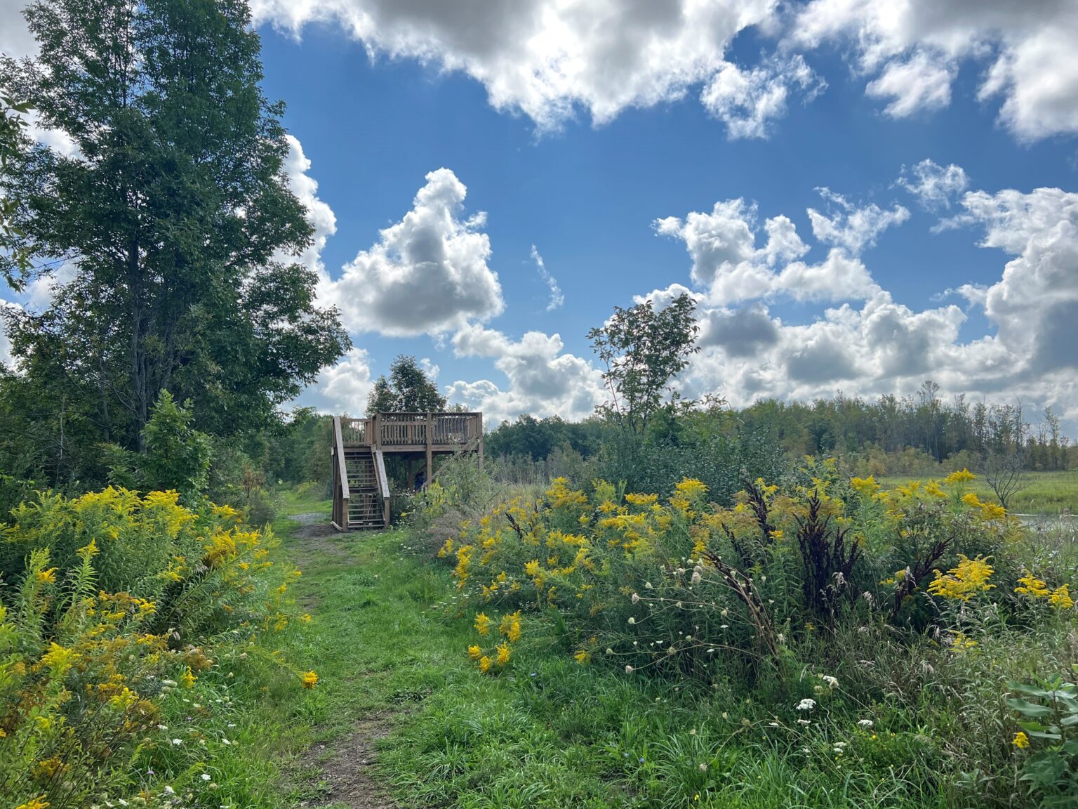 S. Gerald Ingerson Preserve - Thousand Islands Land Trust