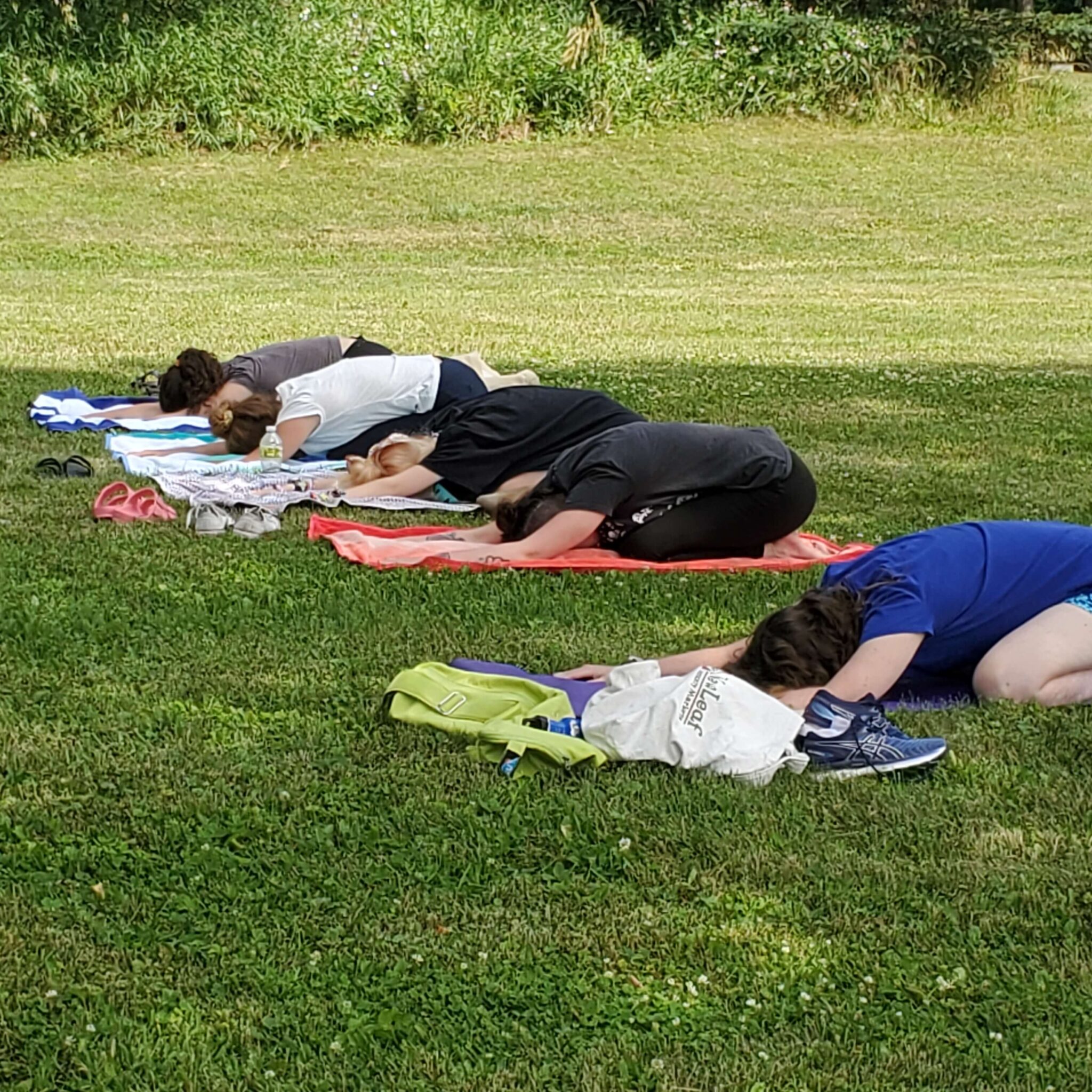 Nature Walk & Yoga Class Pop-Up Trek - Thousand Islands Land Trust
